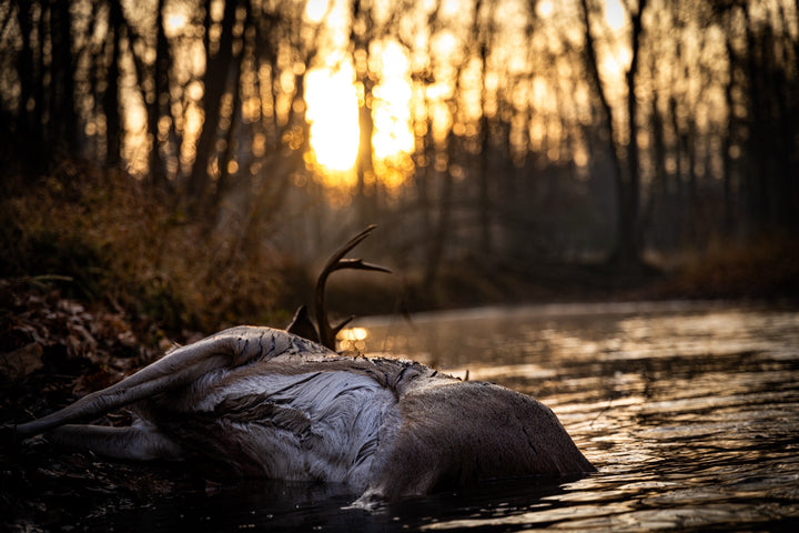 Tickets – mobile hunters expo